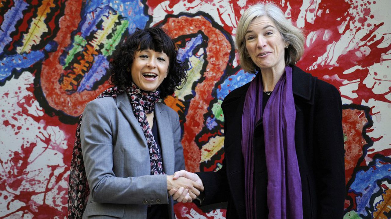 Les Femmes Prix Nobel D couvrez Les 58 Laur ates Les Femmes Prix Nobel D couvrez Les 58 Laur ates